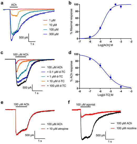 Molecules | Free Full-Text | The Effects of Structural Alterations in ...