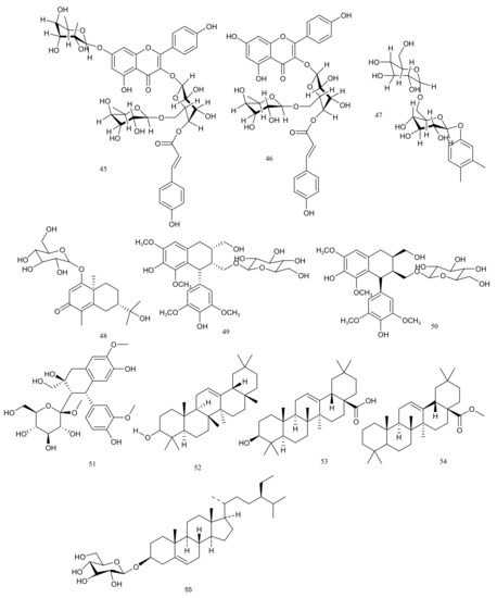 Phytochemistry, Pharmacology, and Nutraceutical Profile of Carissa ...