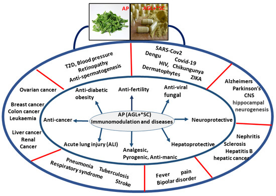 Andrographolide: A Herbal-Chemosynthetic Approach for Enhancing ...