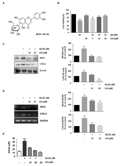 Isoorientin Inhibits Amyloid β25–35-Induced Neuronal Inflammation in ...
