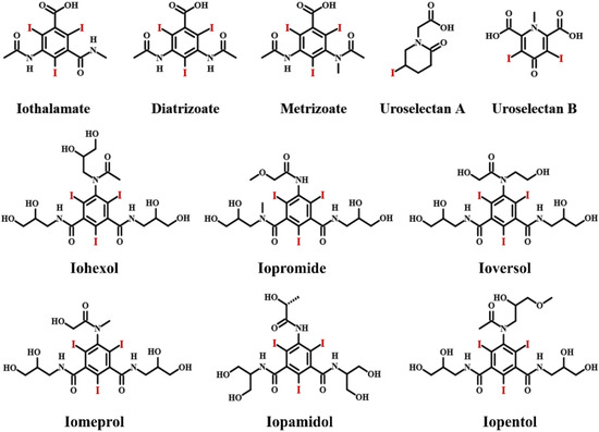 Organic Nanoplatforms for Iodinated Contrast Media in CT Imaging