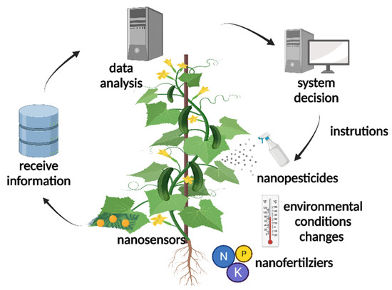 The Applications of Nanotechnology in Crop Production