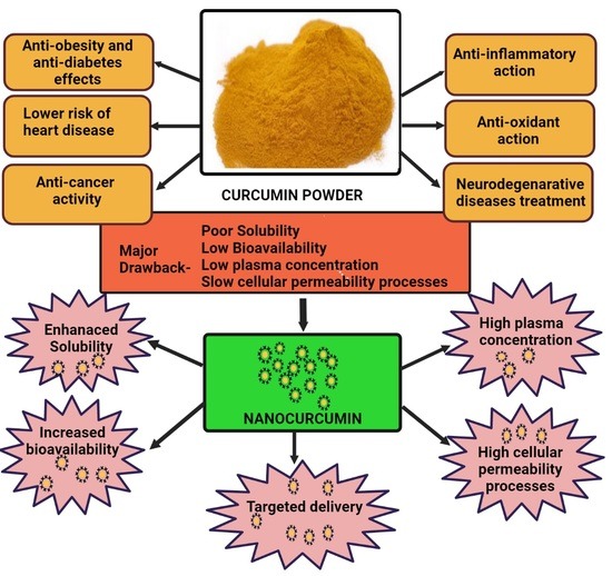 Molecules | Free Full-Text | The Multifaceted Role of Curcumin in ...