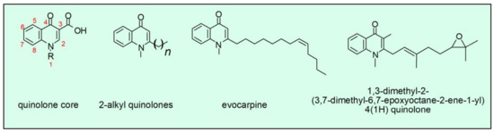 Biological Effects of Quinolones: A Family of Broad-Spectrum ...