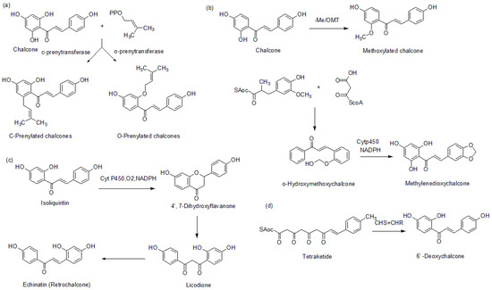 Chalcone Scaffolds, Bioprecursors of Flavonoids: Chemistry ...