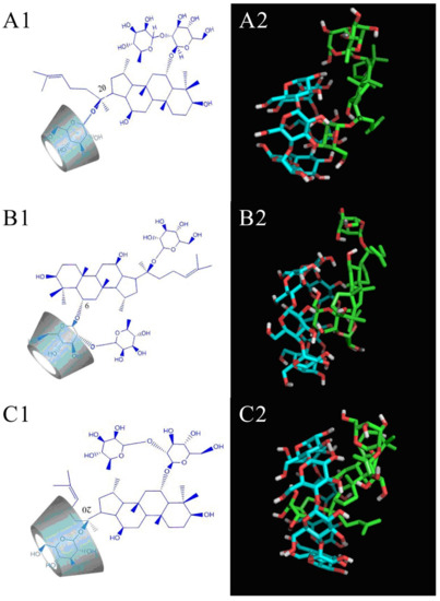 Preparation, Characterization, and Bioavailability of Host-Guest ...