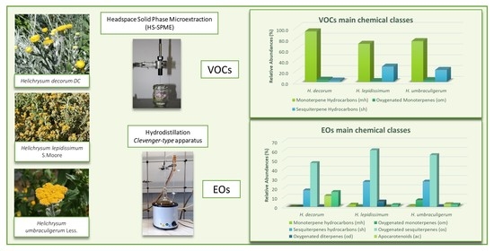 Molecules | Free Full-Text | Volatolomics of Three South African ...