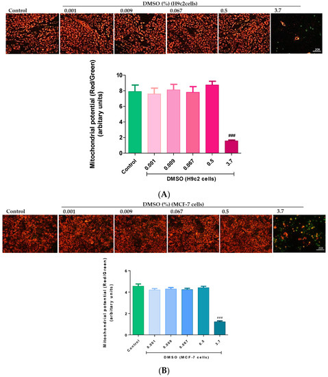 The Implication of Low Dose Dimethyl Sulfoxide on Mitochondrial ...