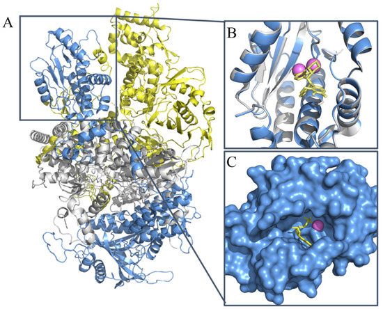 Drug Repurposing for Influenza Virus Polymerase Acidic (PA ...