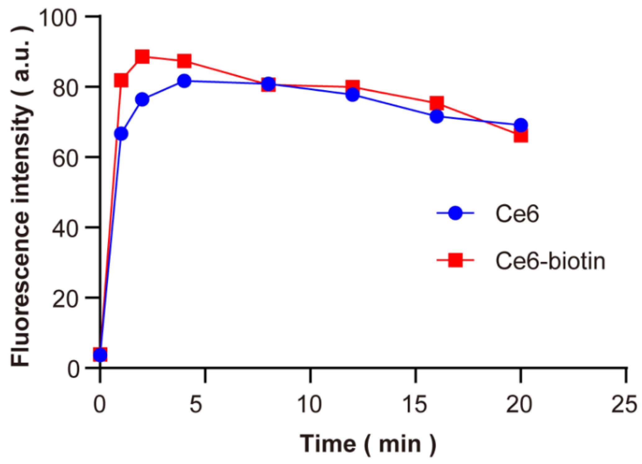 Chlorin e6-Biotin Conjugates for Tumor-Targeting Photodynamic Therapy