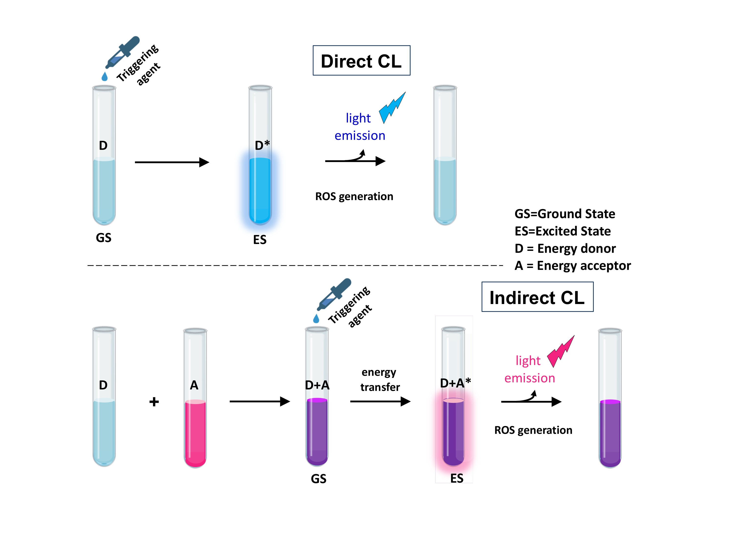 Molecules | Free Full-Text | Direct and Indirect Chemiluminescence ...