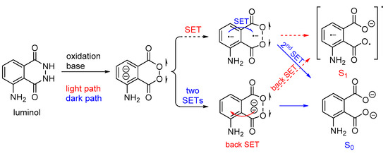 Direct and Indirect Chemiluminescence: Reactions, Mechanisms and Challenges