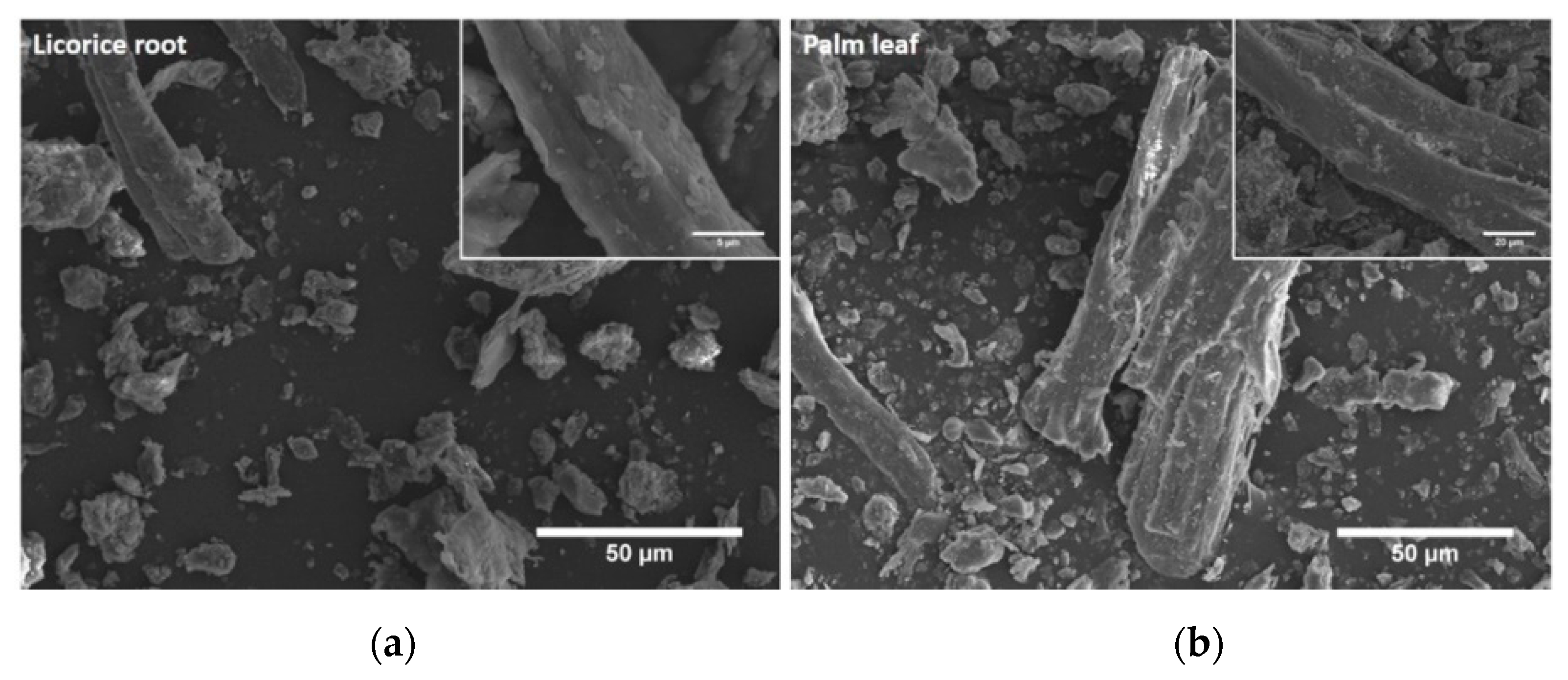 Chemical and Mechanical Characterization of Licorice Root and Palm Leaf ...