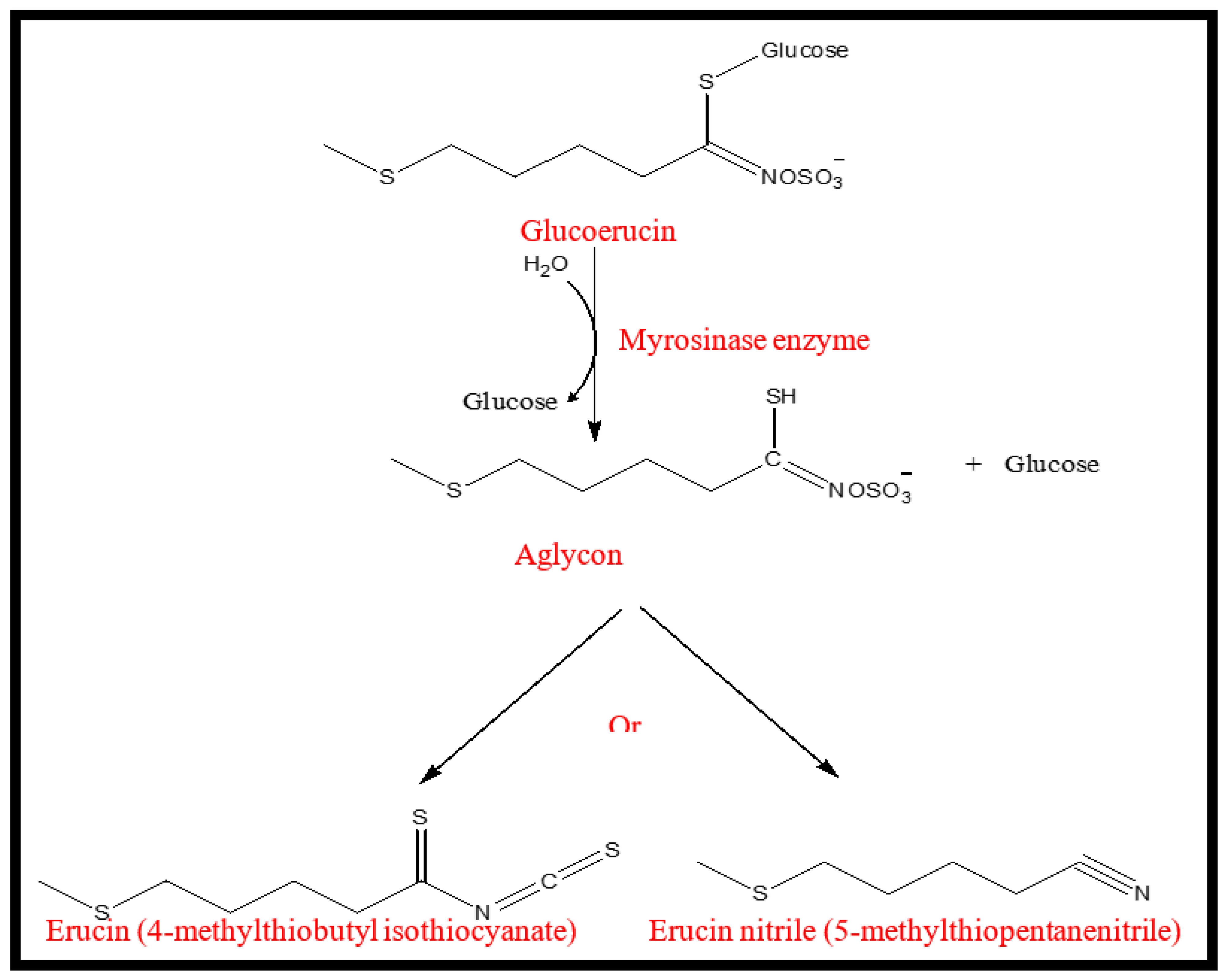 Effect of Plasma Activated Water on Selected Chemical Compounds of ...