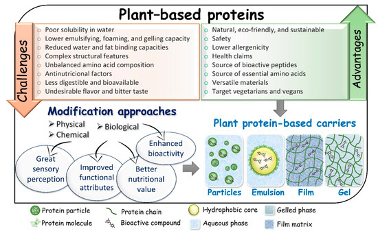 Plant Protein-Based Delivery Systems: An Emerging Approach for ...