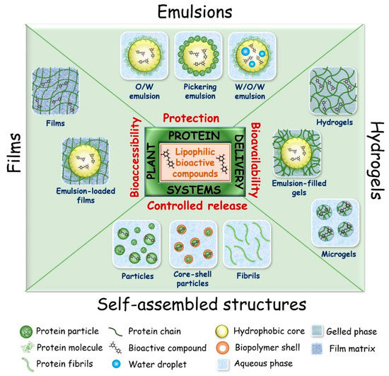 Plant Protein-Based Delivery Systems: An Emerging Approach for ...