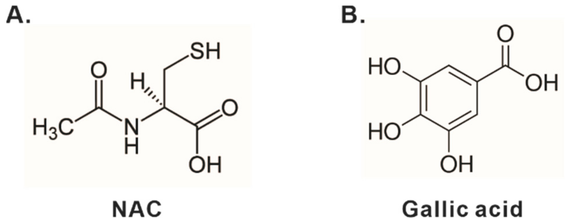 Molecules | Free Full-Text | Effects of NAC and Gallic Acid on the ...