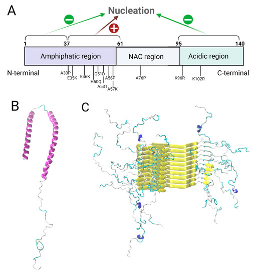 Molecules | Free Full-Text | Implementing Complementary Approaches to ...