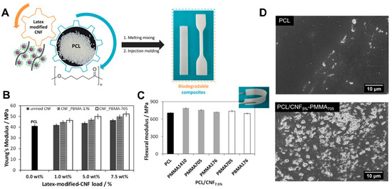 Natural Polymers-Based Materials: A Contribution to a Greener Future
