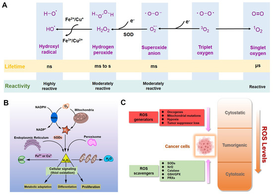 Metal Complexes or Chelators with ROS Regulation Capacity: Promising ...