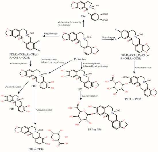Molecules | Free Full-Text | Identification and Quantification ...