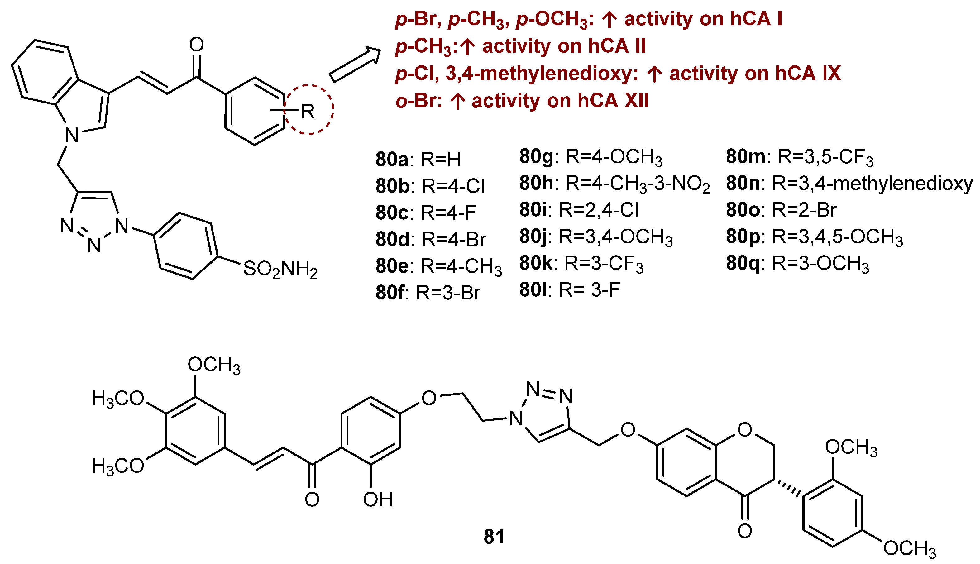Molecules Free Full Text Recent Advances In Bioactive Flavonoid