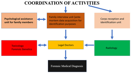 Forensic Analysis and Identification Processes in Mass Disasters ...
