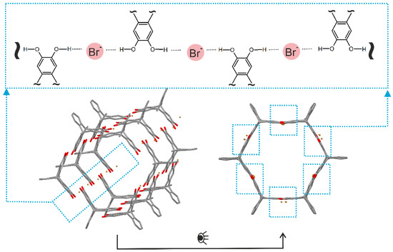 Triptycene Derivatives: From Their Synthesis to Their Unique Properties