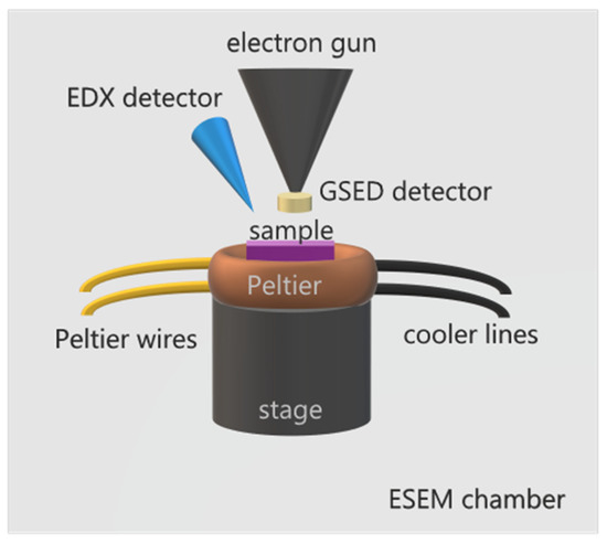 Studying Ice with Environmental Scanning Electron Microscopy