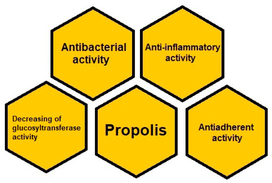 Propolis and Diet Rich in Polyphenols as Cariostatic Agents Reducing ...