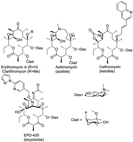 New Bicyclic Azalide Macrolides Obtained by Tandem Palladium Catalyzed ...