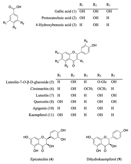 Anti-Phototoxicity Effect of Phenolic Compounds from Acetone Extract of ...