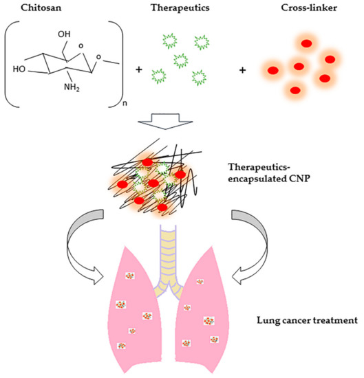 Molecules | Free Full-Text | Chitosan Nanoparticle-Based System: A New Insight into the ...