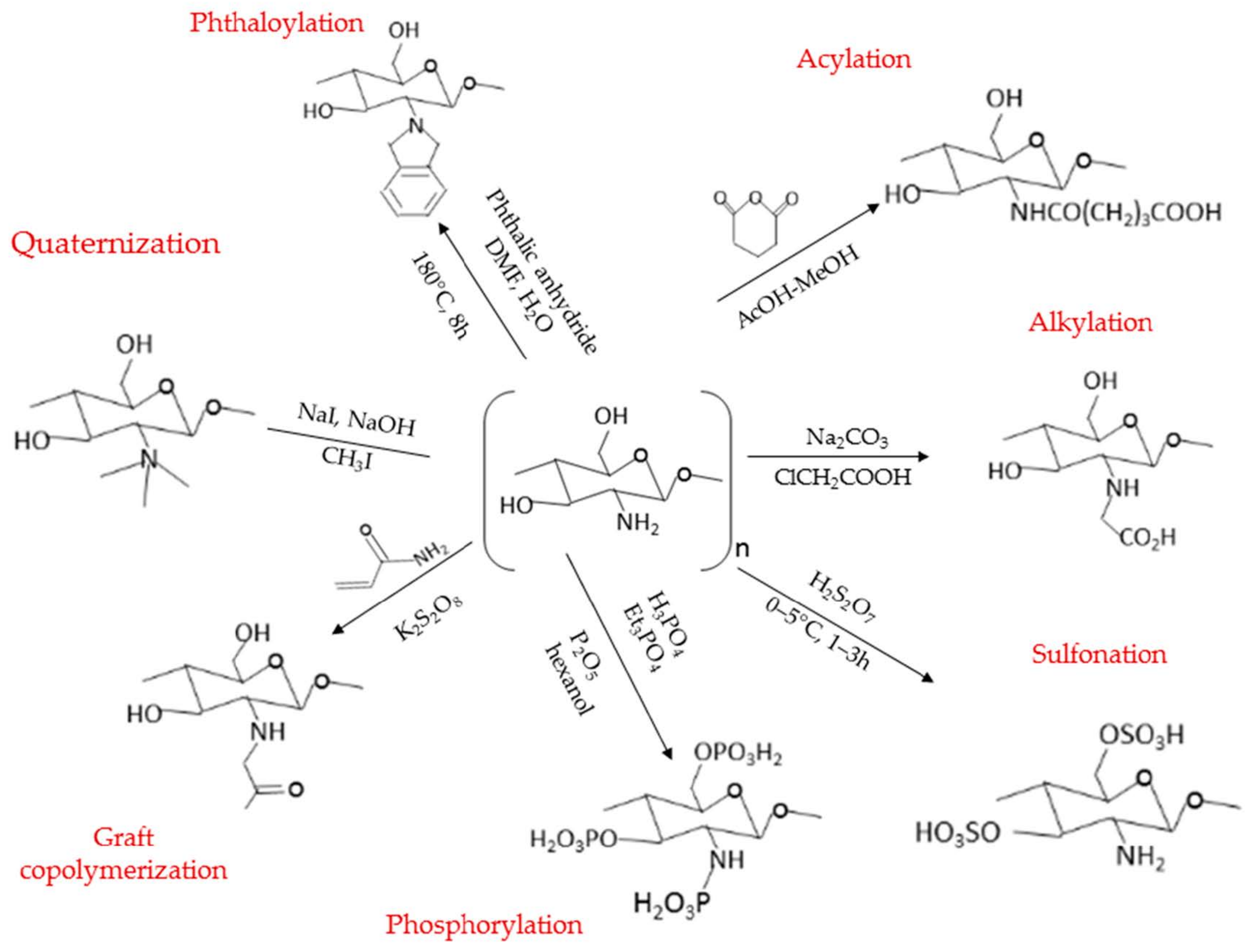 Molecules Free Full Text Chitosan Nanoparticle Based System A New