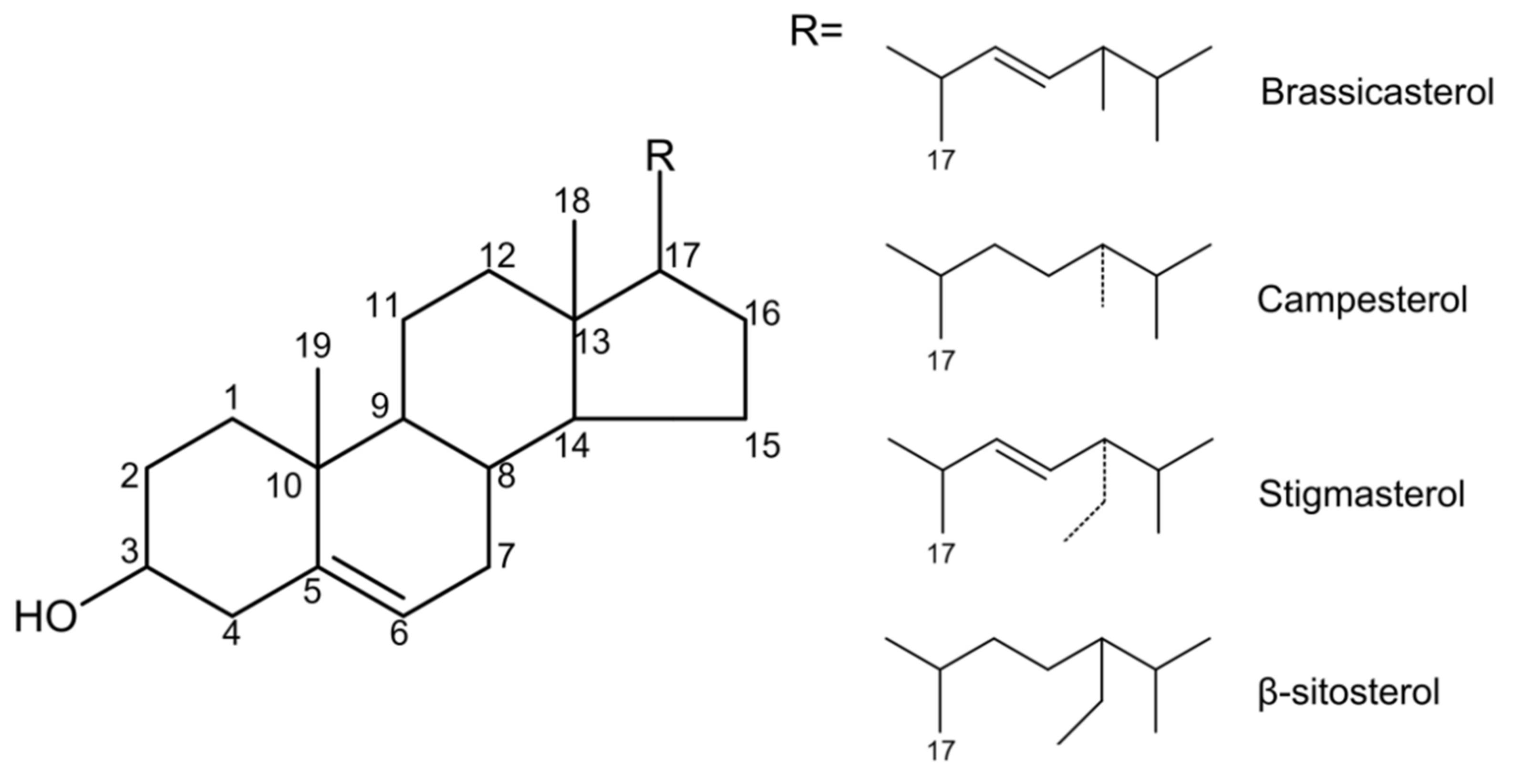 Molecules Free Full Text The Bioavailability And Biological
