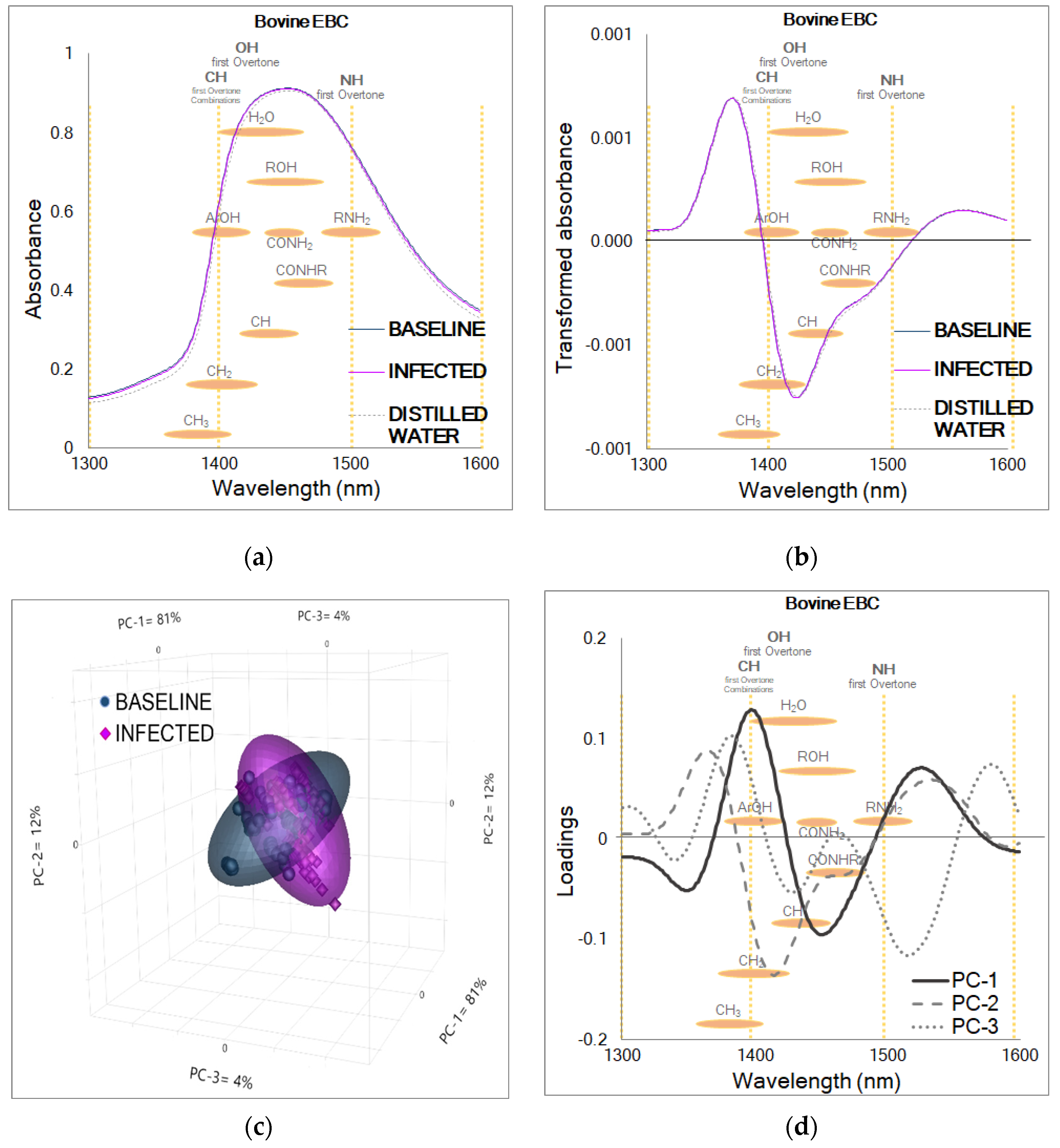 Molecules | Free Full-Text | Bovine Respiratory Syncytial Virus (BRSV ...