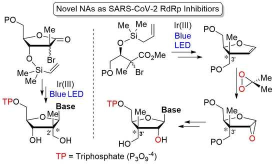 Molecules | Free Full-Text | Nucleotide Analogues Bearing a C2′ or C3 ...