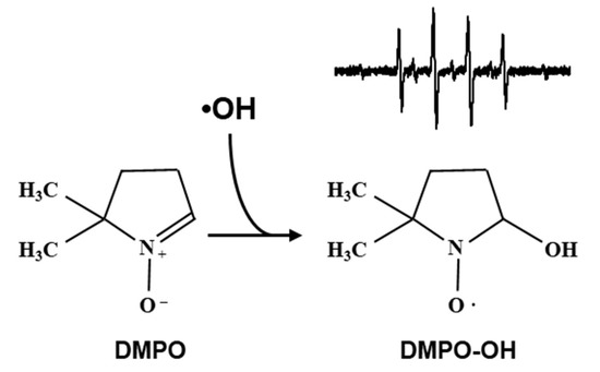Estimation of the Local Concentration of the Markedly Dense Hydroxyl ...