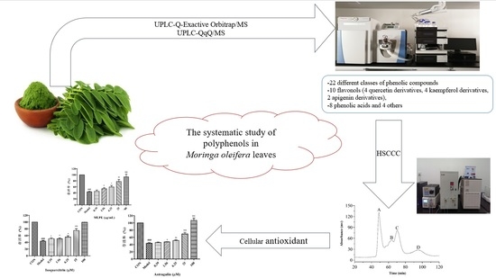 Molecules | Free Full-Text | Characterization, Large-Scale HSCCC ...