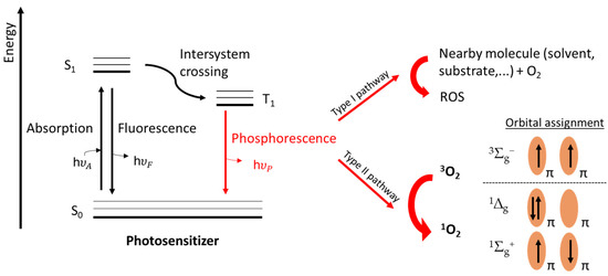 A Photosensitized Singlet Oxygen (1O2) Toolbox for Bio-Organic ...