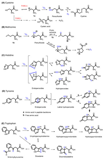 Molecules | Free Full-Text | A Photosensitized Singlet Oxygen (1O2 ...
