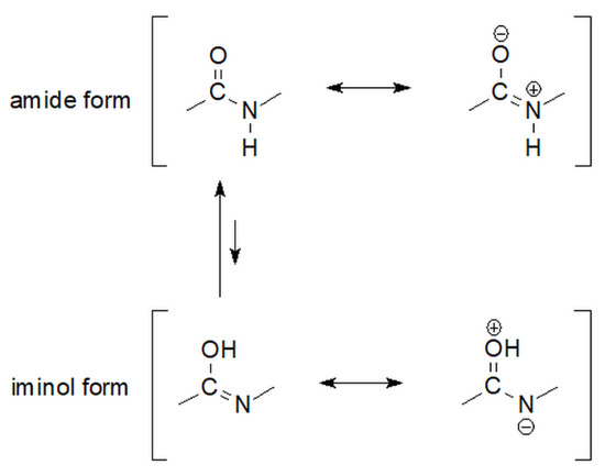 Different Schiff Bases—Structure, Importance and Classification