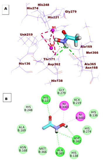 Expression, Purification, and Comparative Inhibition of Helicobacter ...