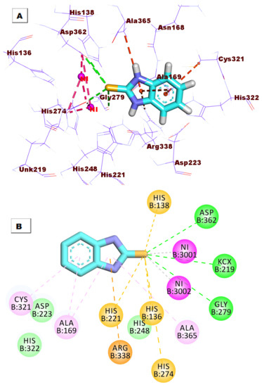 Expression, Purification, and Comparative Inhibition of Helicobacter ...