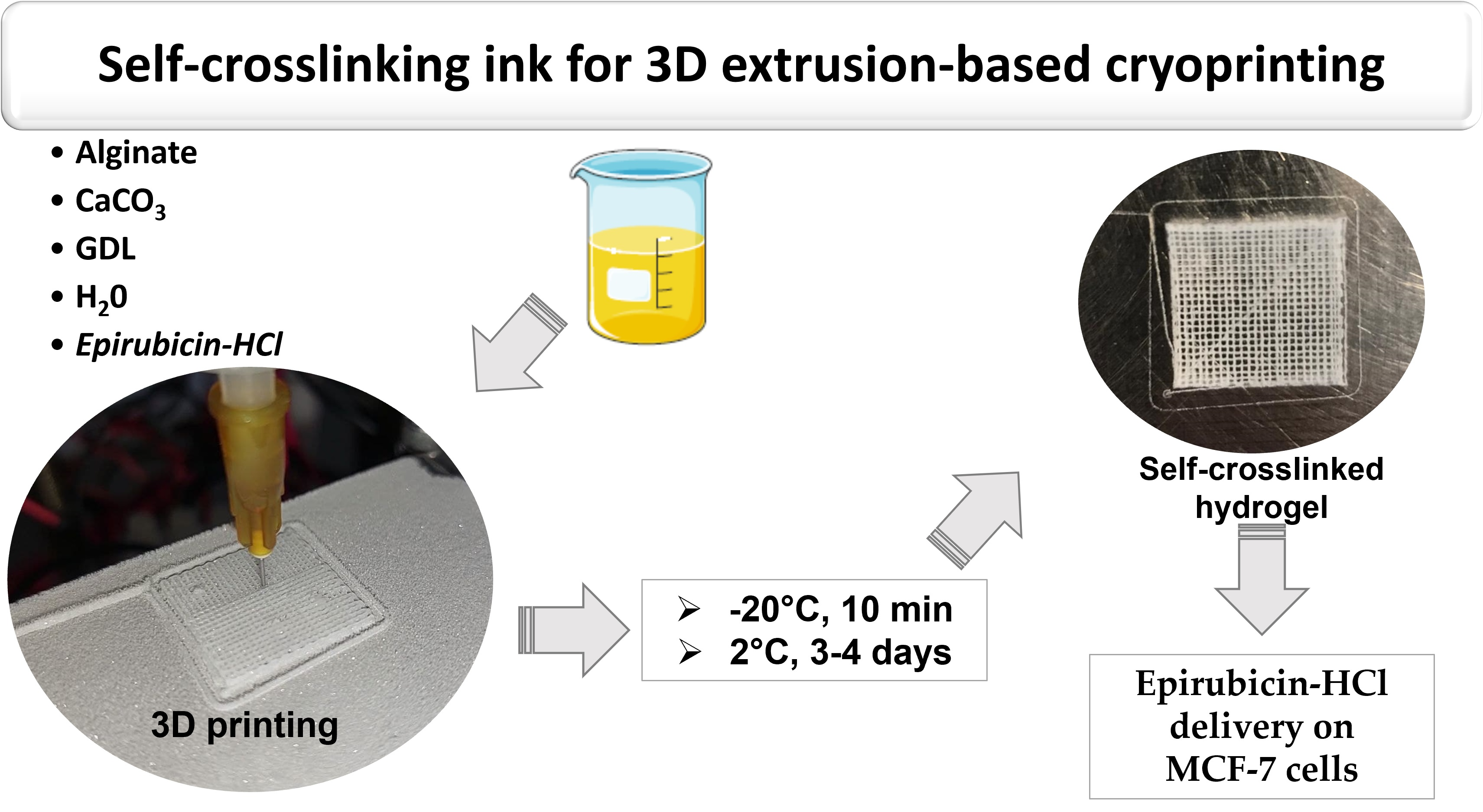 Molecules | Free Full-Text | Alginate Self-Crosslinking Ink for 3D ...