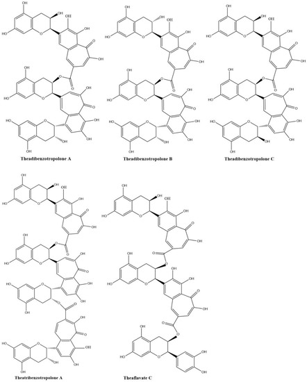 Enzymatic Oxidation of Tea Catechins and Its Mechanism