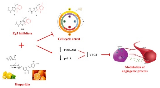 Molecules | Free Full-Text | Negative Modulation of the Angiogenic ...
