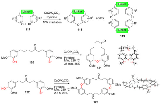 Recent Advances in Macrocyclic Drugs and Microwave-Assisted and/or ...