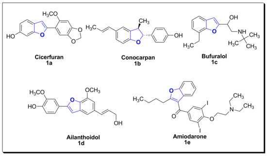 Exploring the Synergistic Anticancer Potential of Benzofuran ...