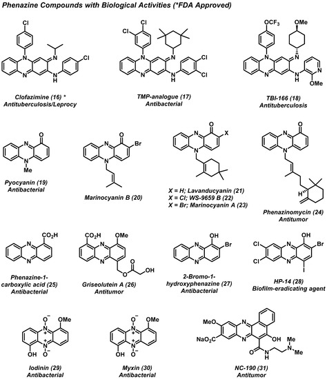Pyrazine and Phenazine Heterocycles: Platforms for Total Synthesis and ...
